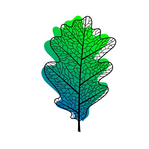 Oak Leaf Vector Images (over 48,000)