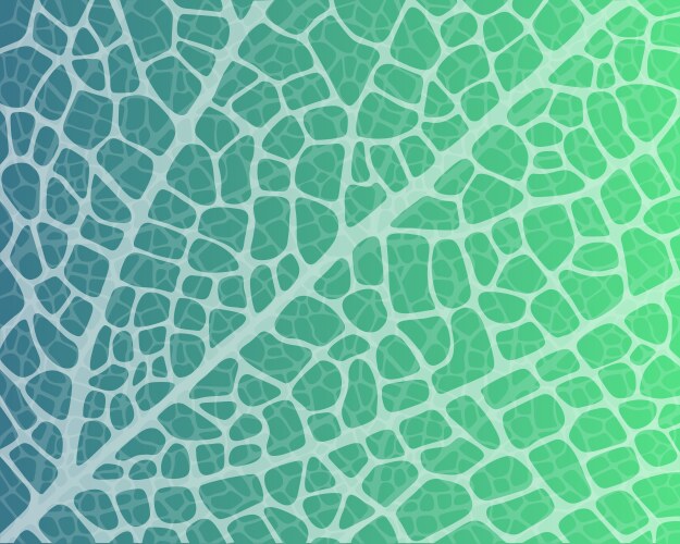 Venator Vector Images (over 230)