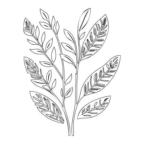 Parallel leaf floral outline sketch Royalty Free Vector
