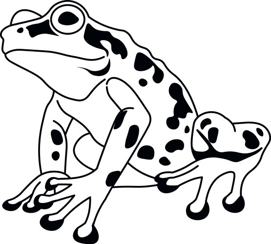 Outline drawing a frog isolated on white Vector Image