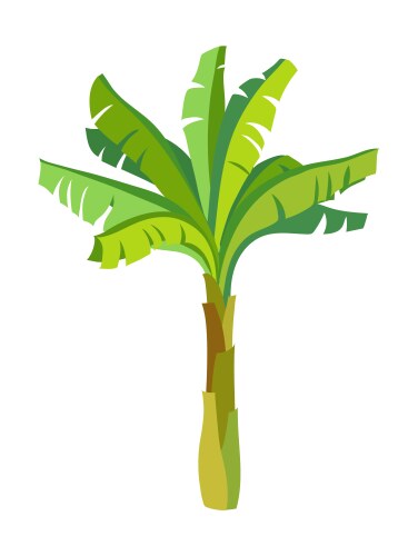 Banana tree cartoon for you design Royalty Free Vector Image