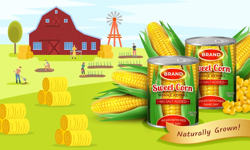 Realistic detailed 3d organic canned corn ads Vector Image