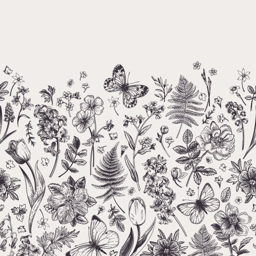Butterfly Border Vector Images (over 9,500)
