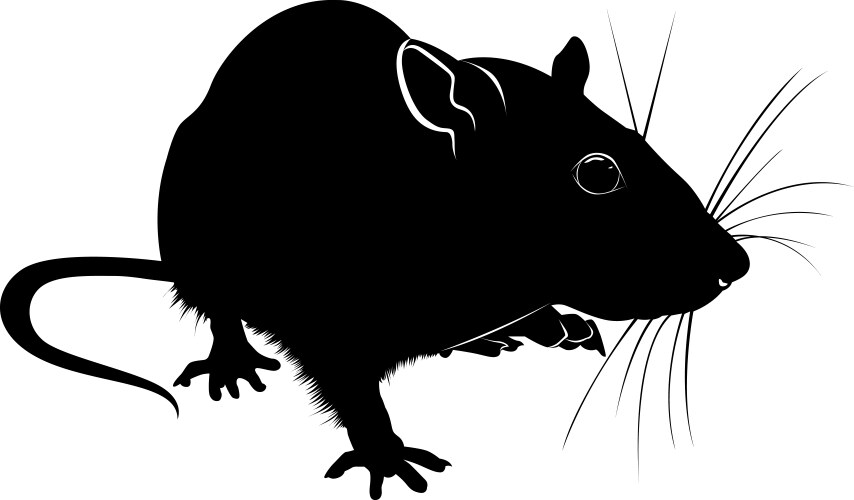 Rat Outline Vector Images (over 6,100)