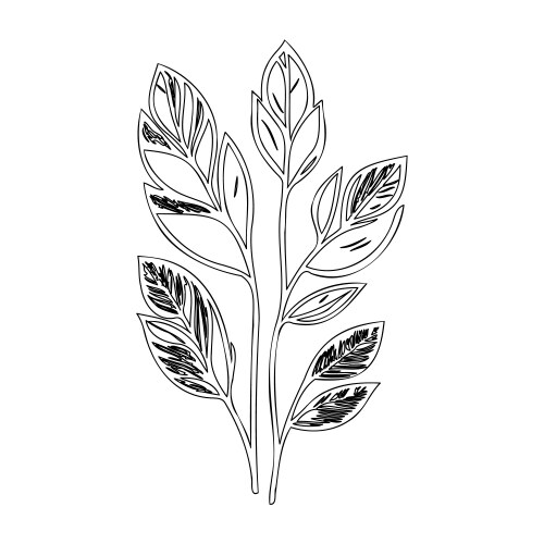 Parallel leaf floral outline sketch Royalty Free Vector