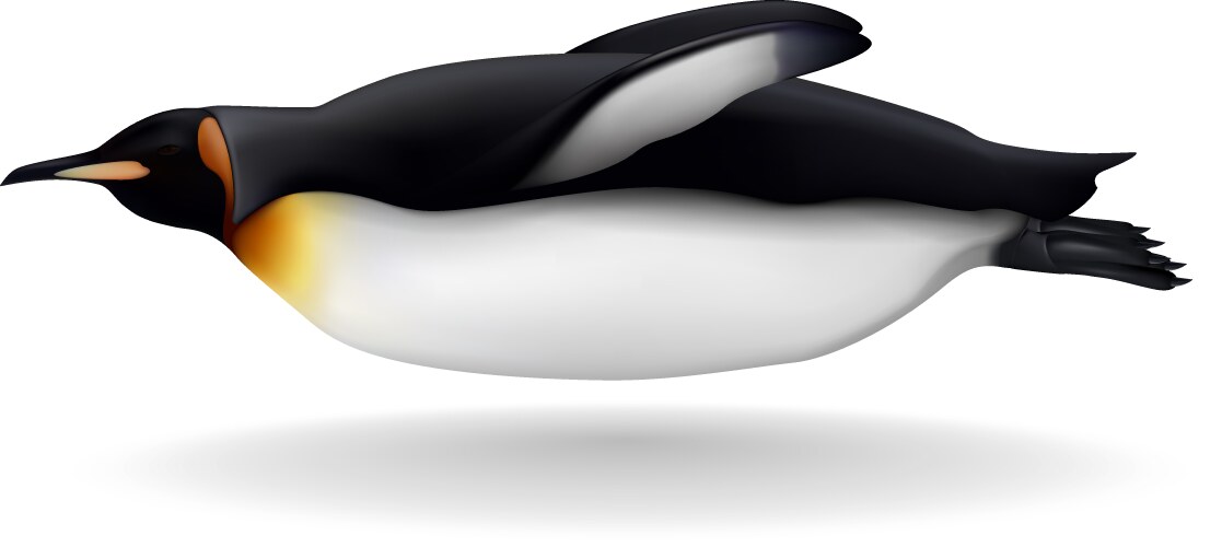 Penguin Side View Vector Images (78)