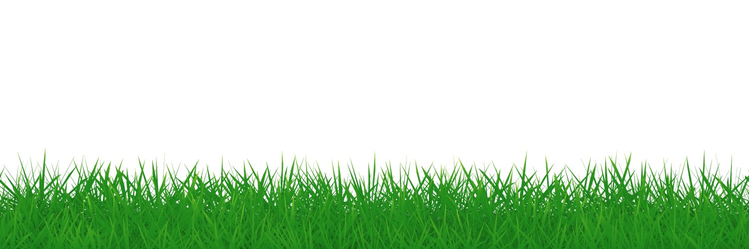 Spring grass seamless border floral Royalty Free Vector