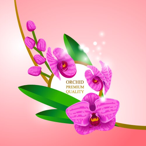 Orchid design Royalty Free Vector Image - VectorStock