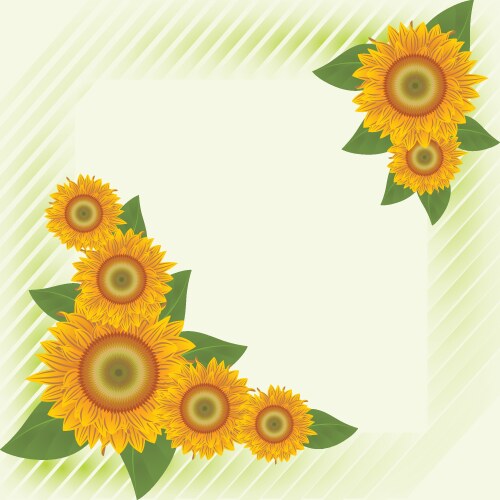 Sunflowers Vector Images (over 47,000)