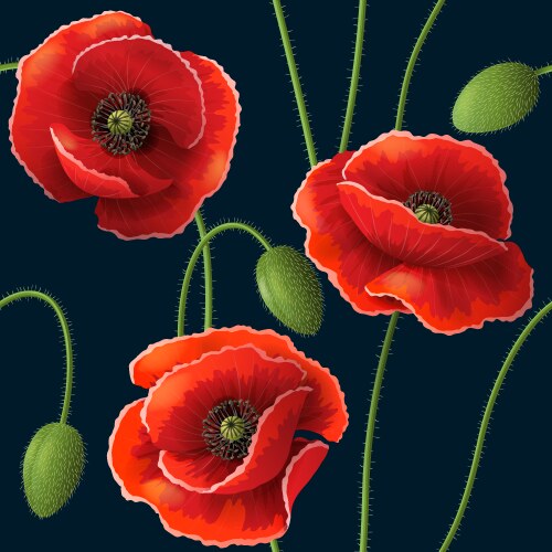 Poppy Vector Images (over 22,000)