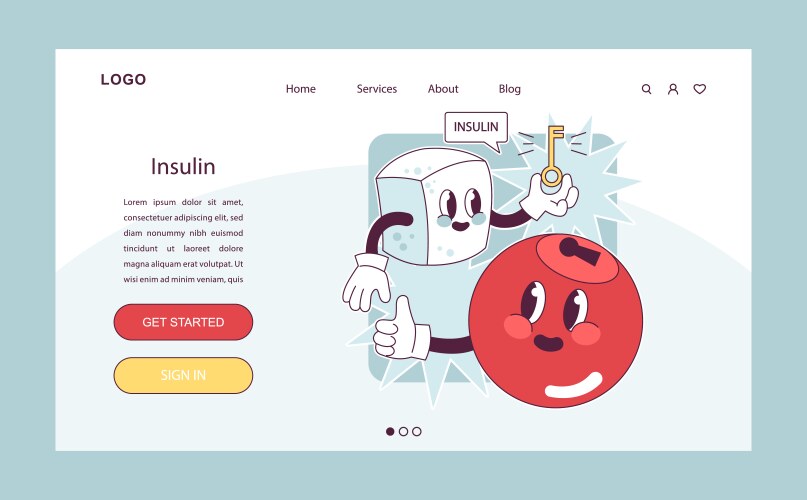 Endocrine system insulin function pancreas gland Vector Image