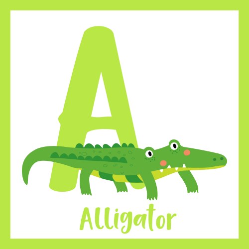 Alligator flashcard Vector Images & Graphics for Commercial Use ...
