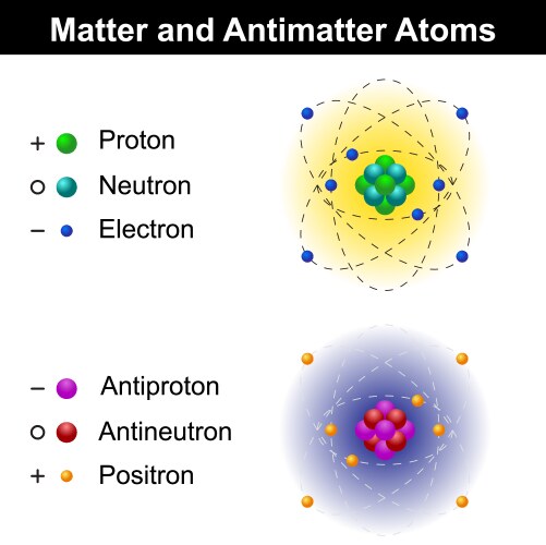 Atom structure protons neutrons and electrons Vector Image
