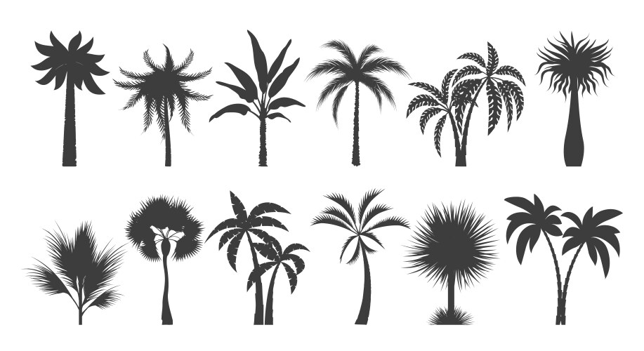 Realistic palm tree silhouette collection set Vector Image