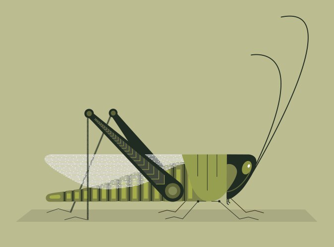 Grasshopper Vector Images (over 5,700)