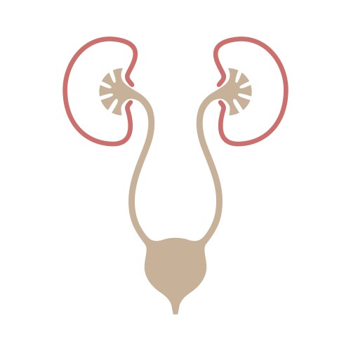 Urology Logo Vector Images (over 1,600)