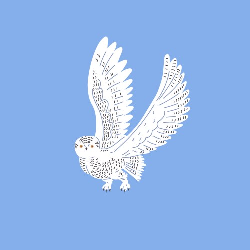 Blue Owl Flying Vector Images (over 840)