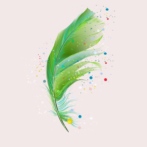 Drawing Feather Vector Images (over 110,000)