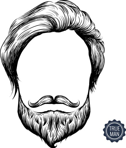 Bearded man head isolated on white background Vector Image