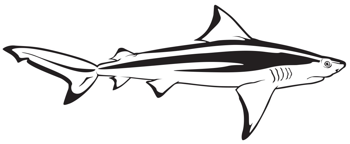 Bull Outline Vector Images (over 14,000)