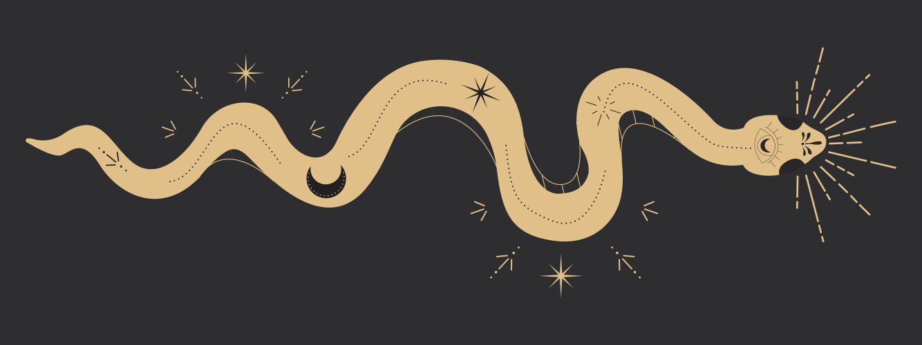 Celestial serpent snake circle frame esoteric Vector Image