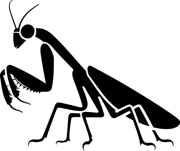 Mantis Silhouette Vector Images (over 380)
