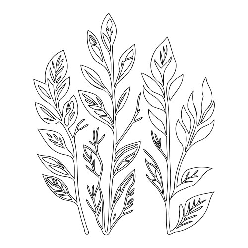 Parallel leaf floral outline sketch Royalty Free Vector
