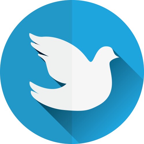 Dove Shadow Vector Images (over 1,200)