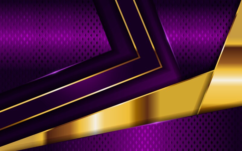 Luxury purple and golden lines background design Vector Image