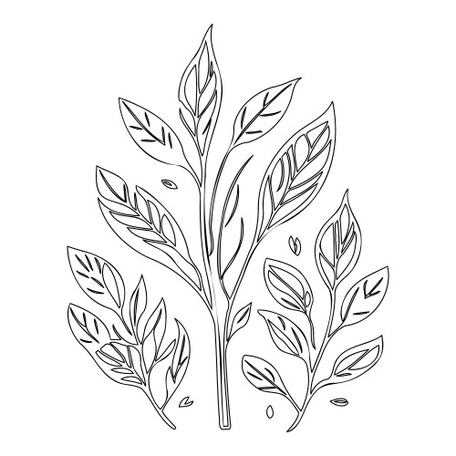 Parallel leaf floral outline sketch Royalty Free Vector