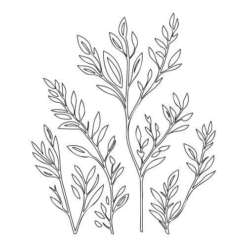 Parallel leaf floral outline sketch Royalty Free Vector