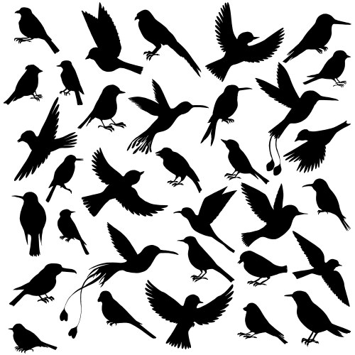 Birds Vector Images (over 620,000)