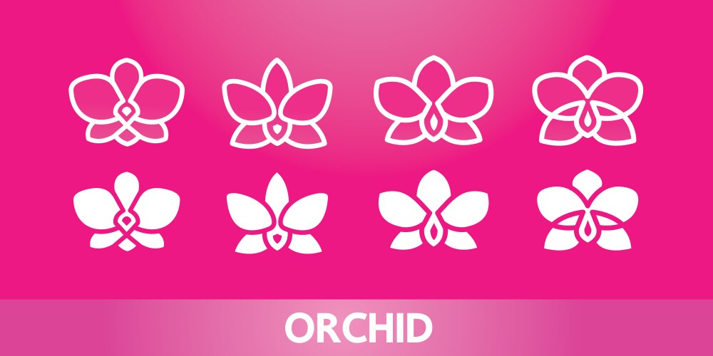 Orchid design Royalty Free Vector Image - VectorStock