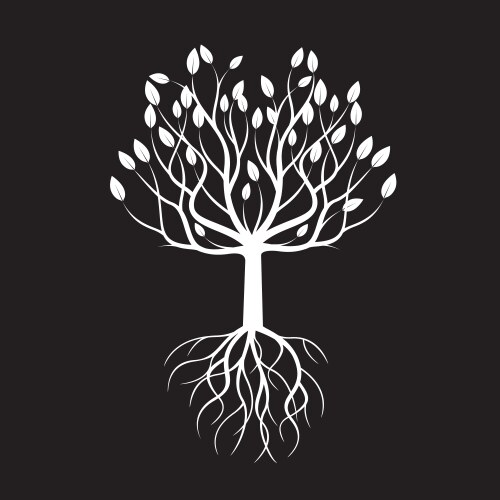 Tree Roots Black and White Vector Images (over 7,900)