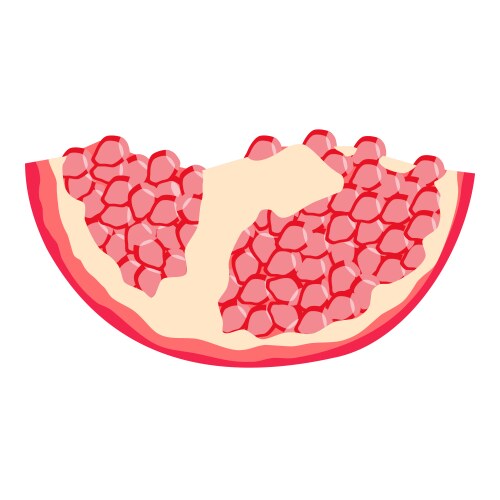 Pomegranate Vector Images (over 20,000)