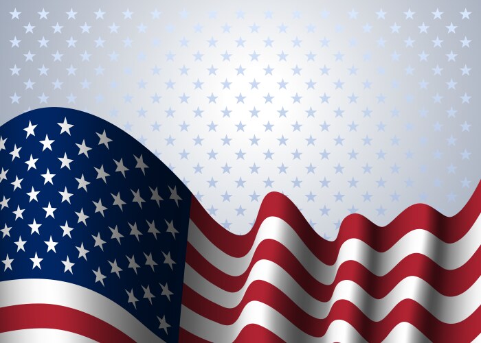 American flag isolated Royalty Free Vector Image