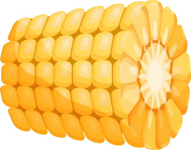 Corn on the Cob Vector Images (over 8,500)