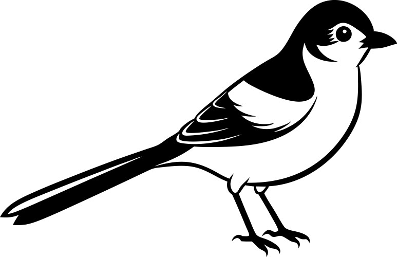 Digital Bird Logo Vector Images (over 4,300)