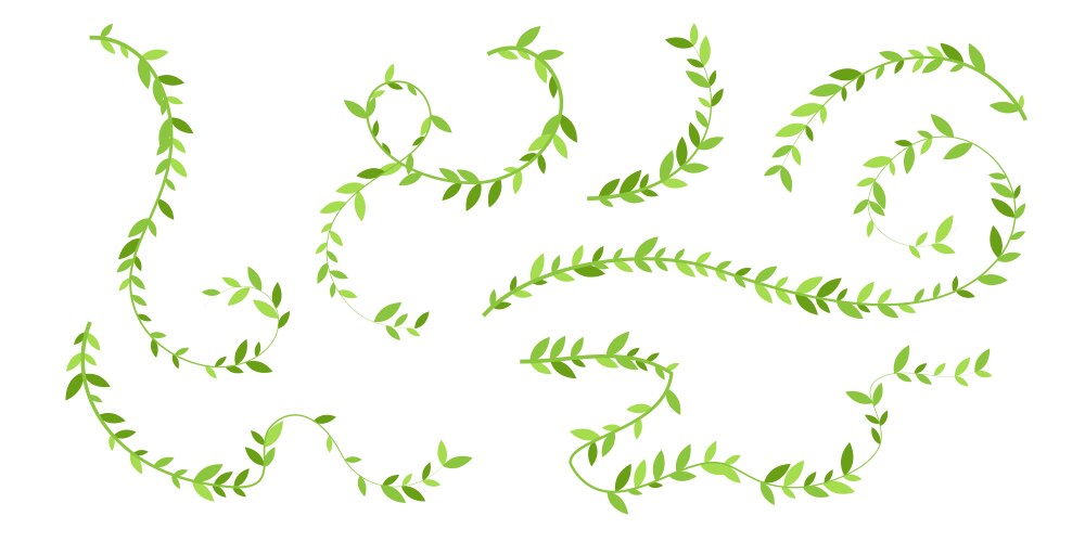 Climbing Plants Vector Images (over 3,300)