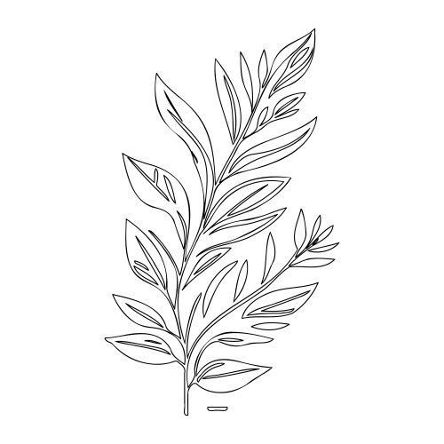 Parallel leaf floral outline sketch Royalty Free Vector
