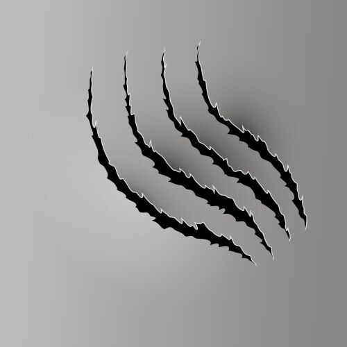 Bear Claw Tear Vector Images (over 250)