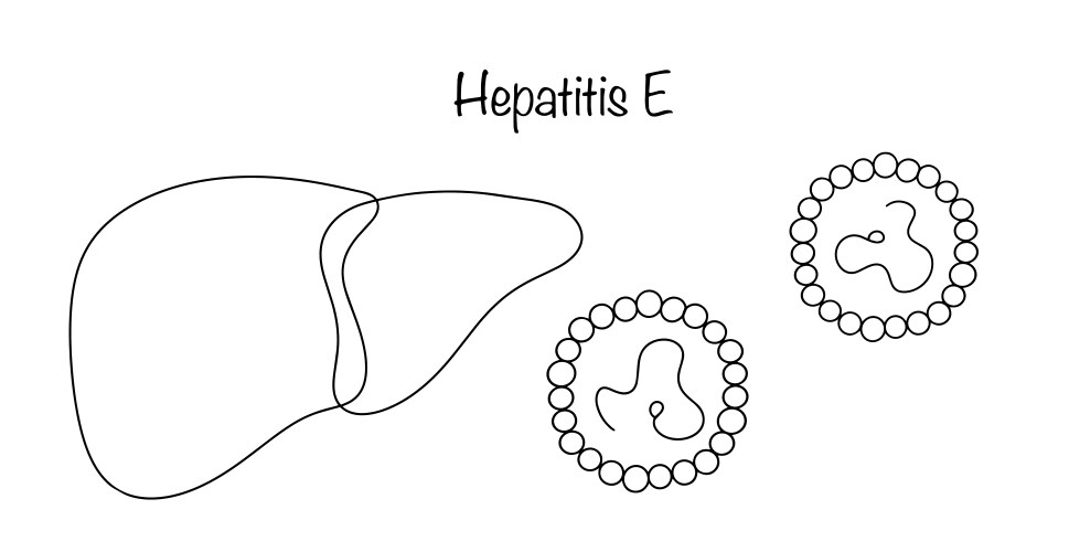 Hepatitis Royalty Free Vector Image - VectorStock