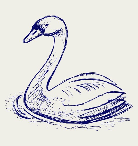 Swan with lift wings Royalty Free Vector Image
