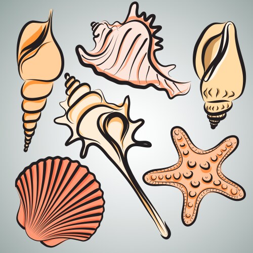 Sea shells set blurred background Royalty Free Vector Image