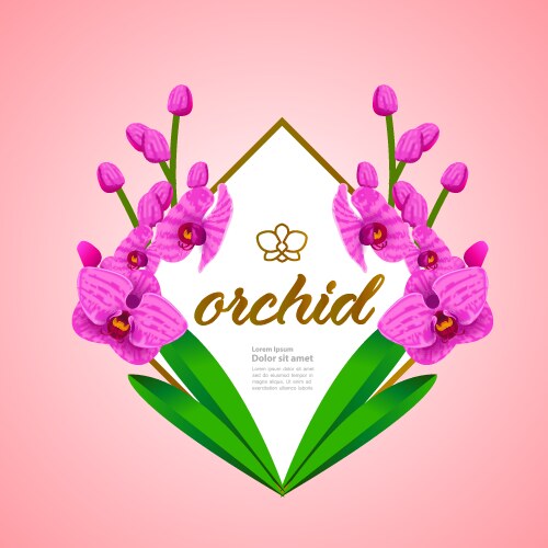 Orchid design Royalty Free Vector Image - VectorStock