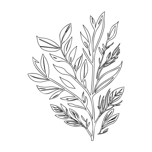 Parallel leaf floral outline sketch Royalty Free Vector
