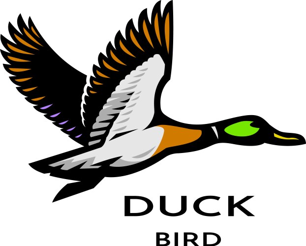 Duck Vector Images (over 64,000)