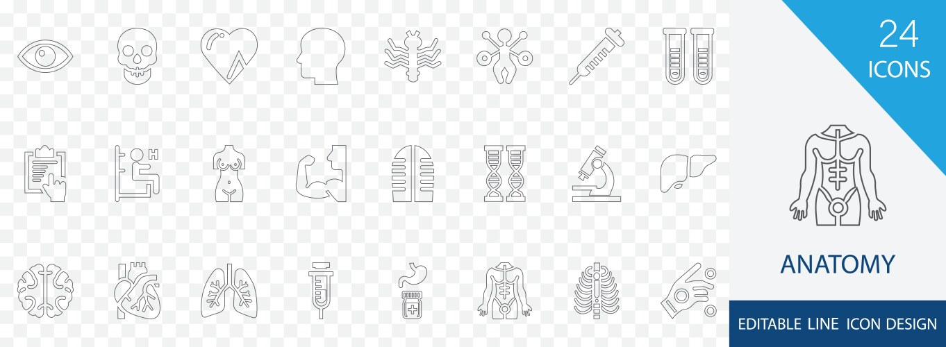 Endocrine System Icon Vector Images (over 1,600)