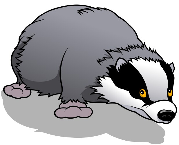 Badger Vector Images (over 3,900)