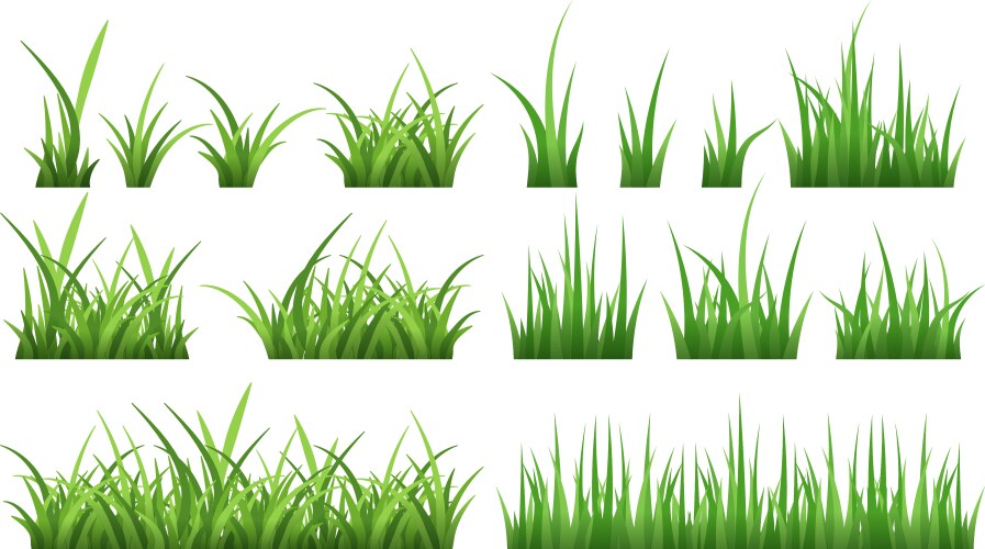 Grass cartoon texture field shape Royalty Free Vector Image